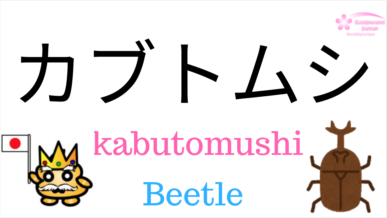 Japanese Forest Vocabulary: 森 mori - with vocab list