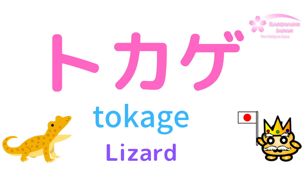 Japanese Vocabulary Lesson 5: The Zoo 動物園