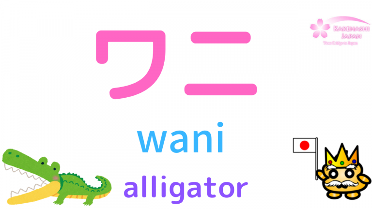 Japanese Vocabulary Lesson 5: The Zoo 動物園