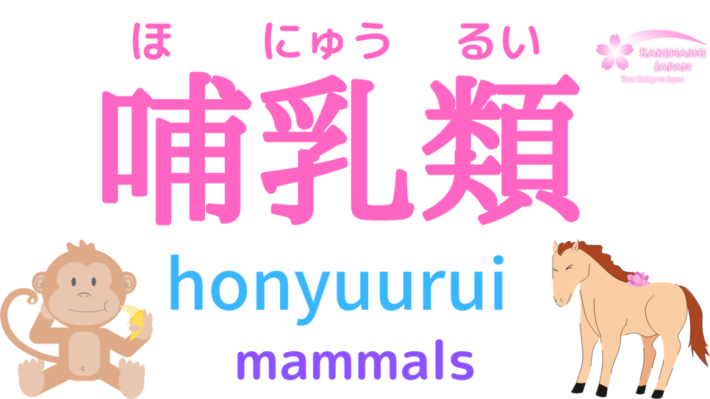 Japanese Vocabulary Lesson 5: The Zoo 動物園